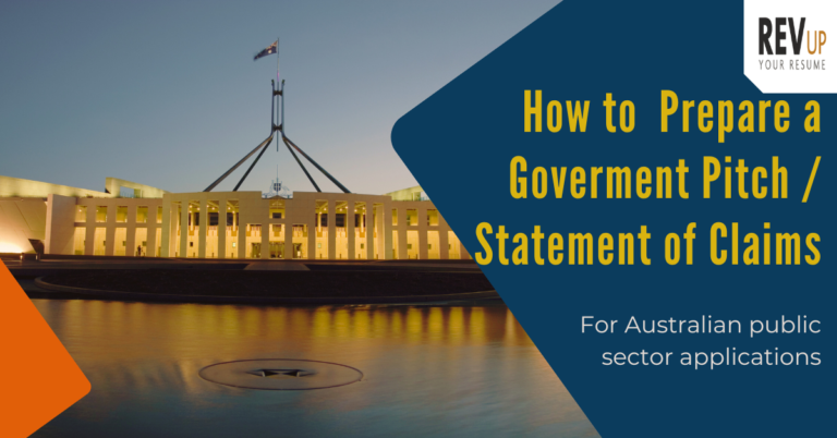 Comprehensive Guide in Writing a Pitch for Government Applications ...